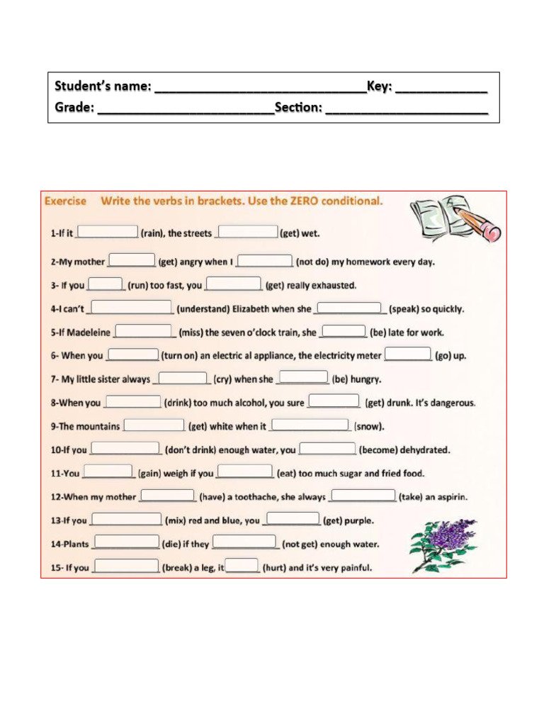 Zero Conditional Worksheet | PDF