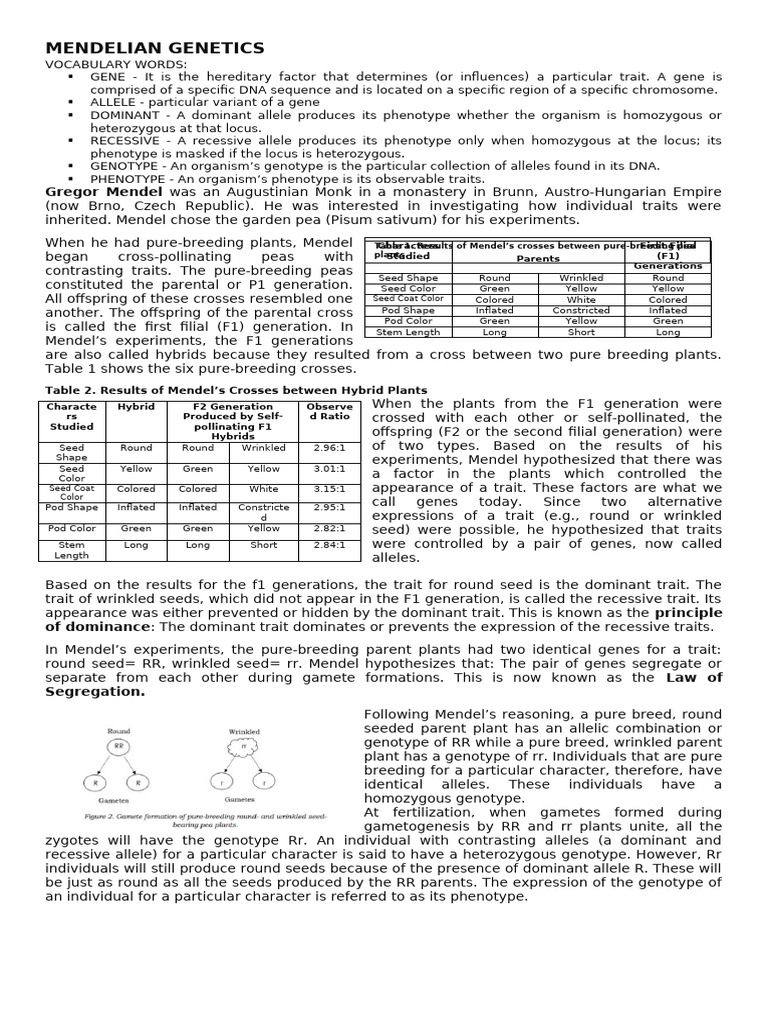 Mendelian Genetics Activity | PDF | Dominance (Genetics) | Genotype