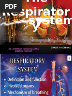 Respiratory System Vocabulary in English | PDF