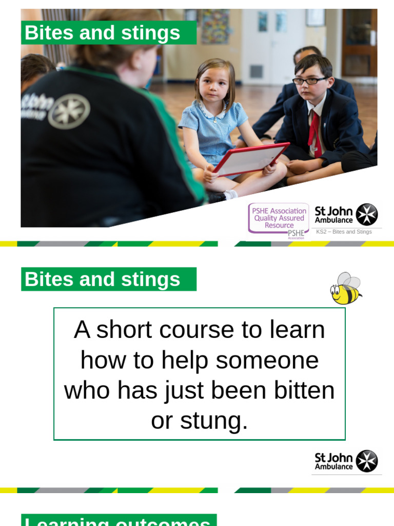 KS2 Bites and Stings | PDF | Human Diseases And Disorders | Medicine