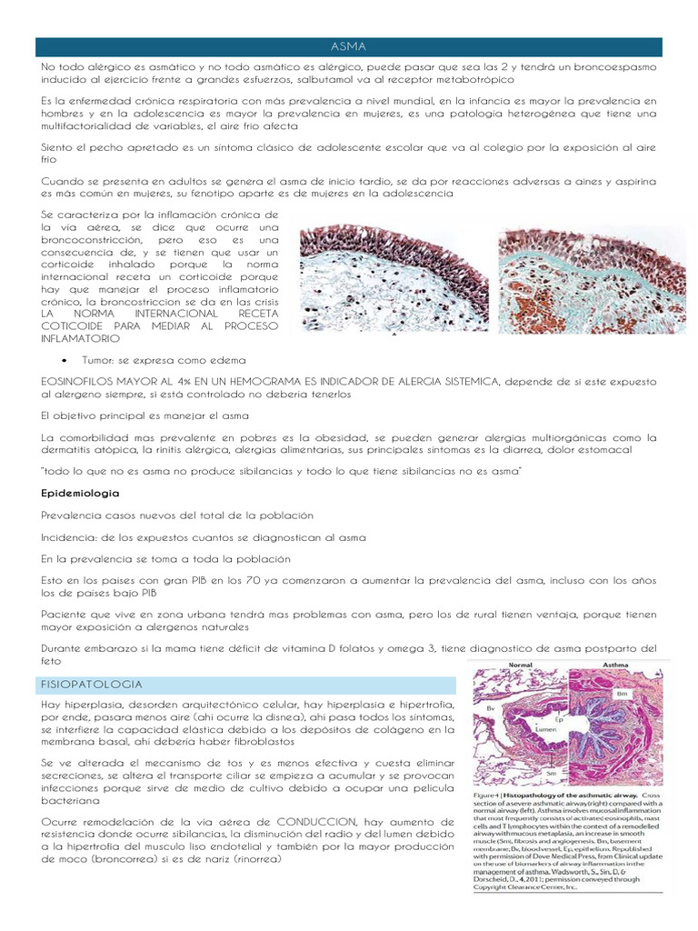 Asma: Síntomas, Causas y Manejo Clínico | PDF | Asma | Alergia