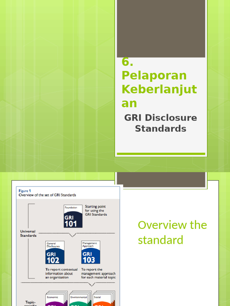 GRI Guidelines for Sustainability Reporting | PDF