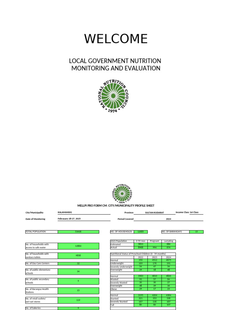 2025 Mellpi Pro Form For Citymun (Pnet) | PDF | Malnutrition | Nutrition