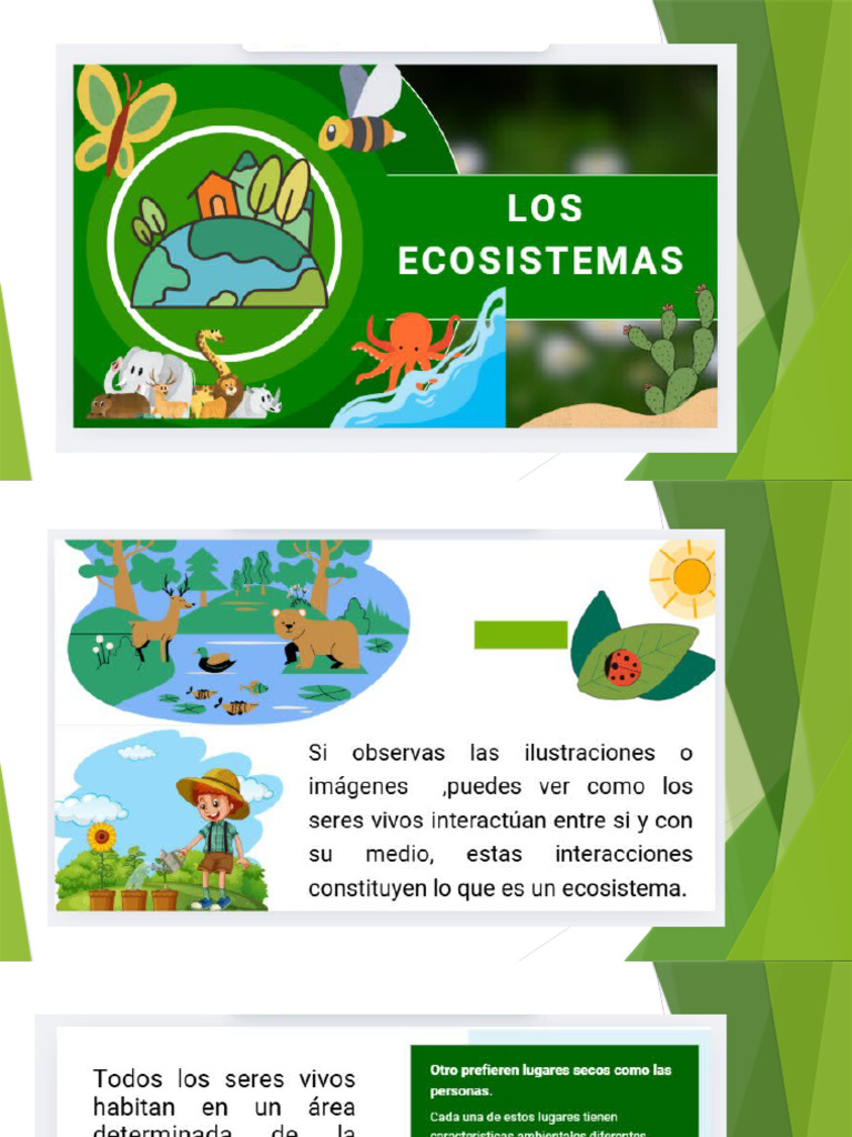 Presentacion Medio Ambiente, Ecosistema 6to | PDF