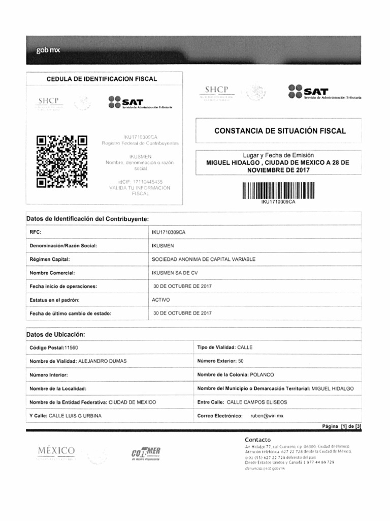 Ikusmen. Cedula RFC. 281117 | PDF