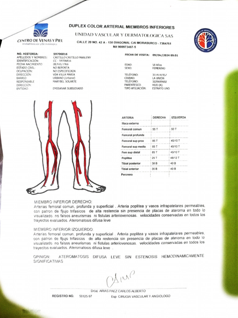 PDFReader 20250611 1558 | PDF