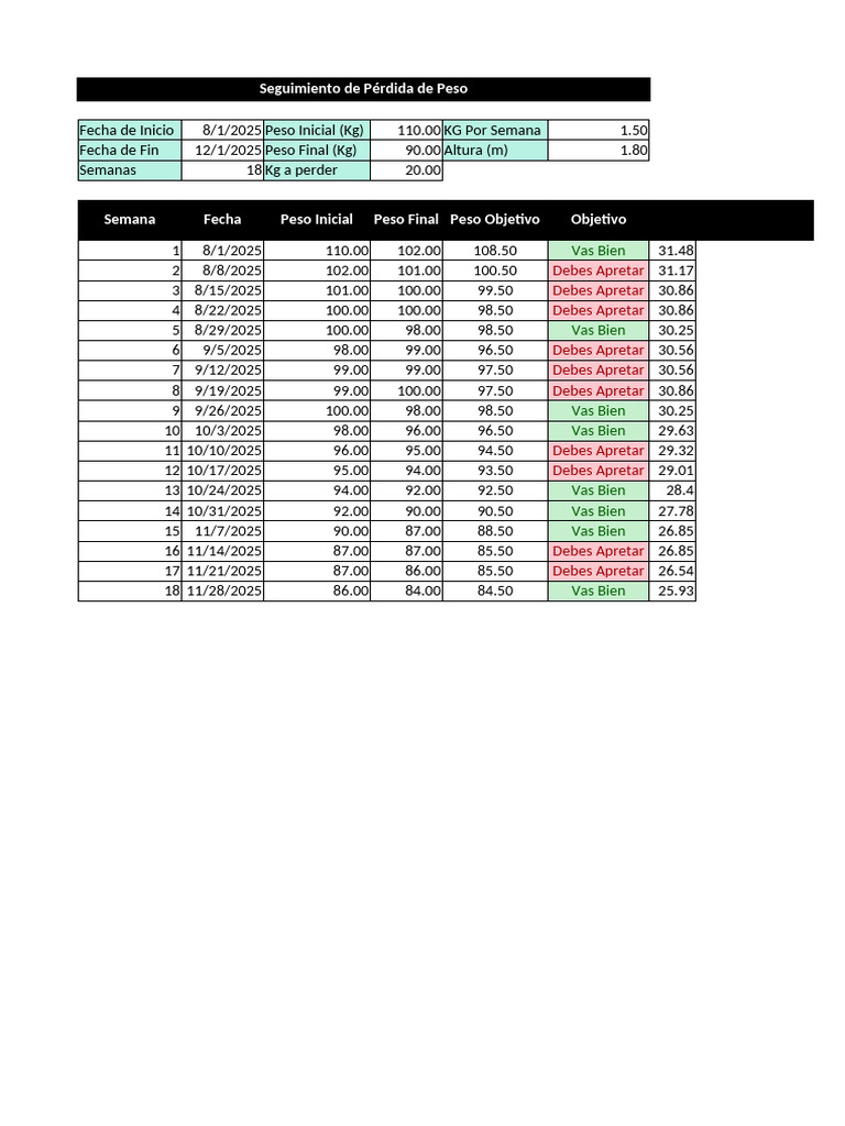 Plantilla Excel Control Peso y Medidasss | PDF | Obesidad | Apariencia ...