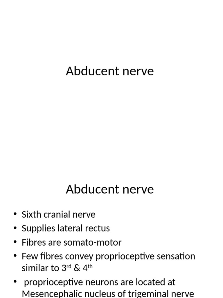 Abducent Nerve | PDF