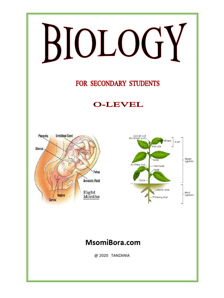 Biology O-Level | PDF | Digestion | Gastrointestinal Tract
