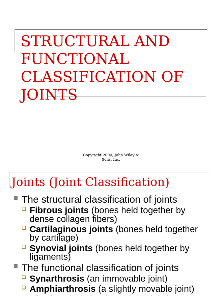 Articulation PowerPoint | PDF | Anatomical Terms Of Motion | Knee