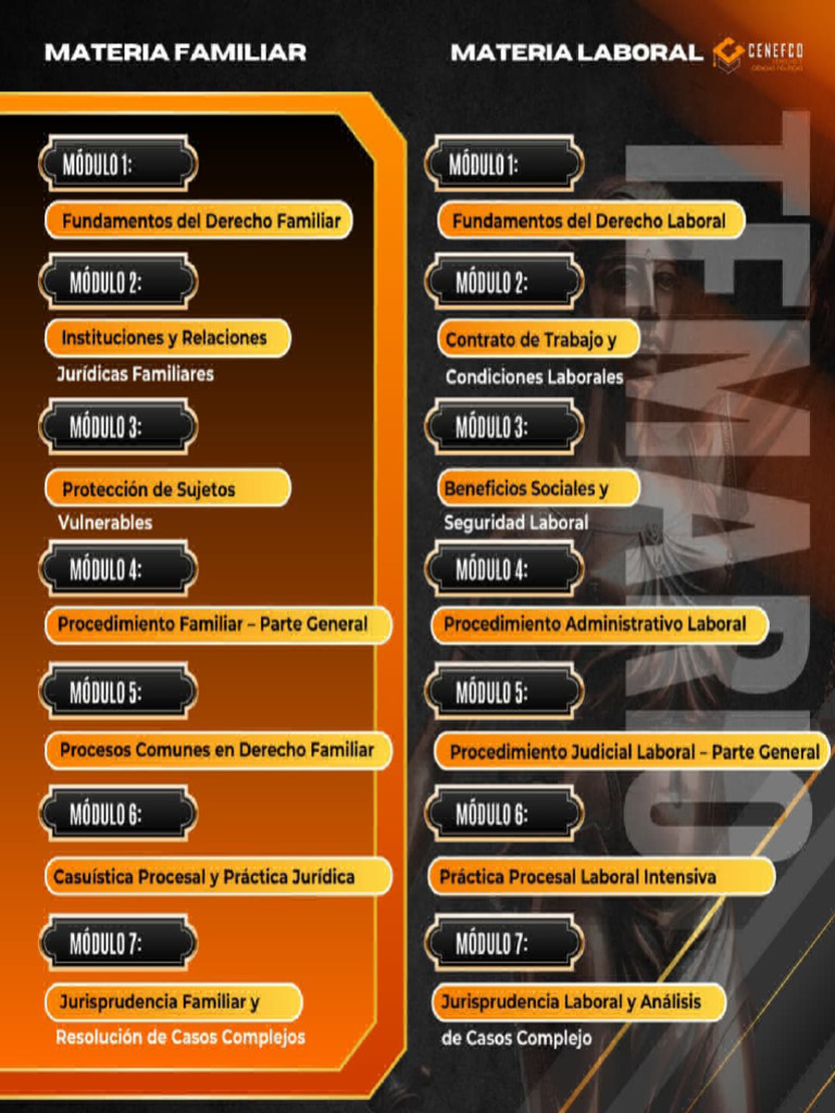 Der Fam Lab Temáticas | PDF | Derecho laboral | Ley procesal