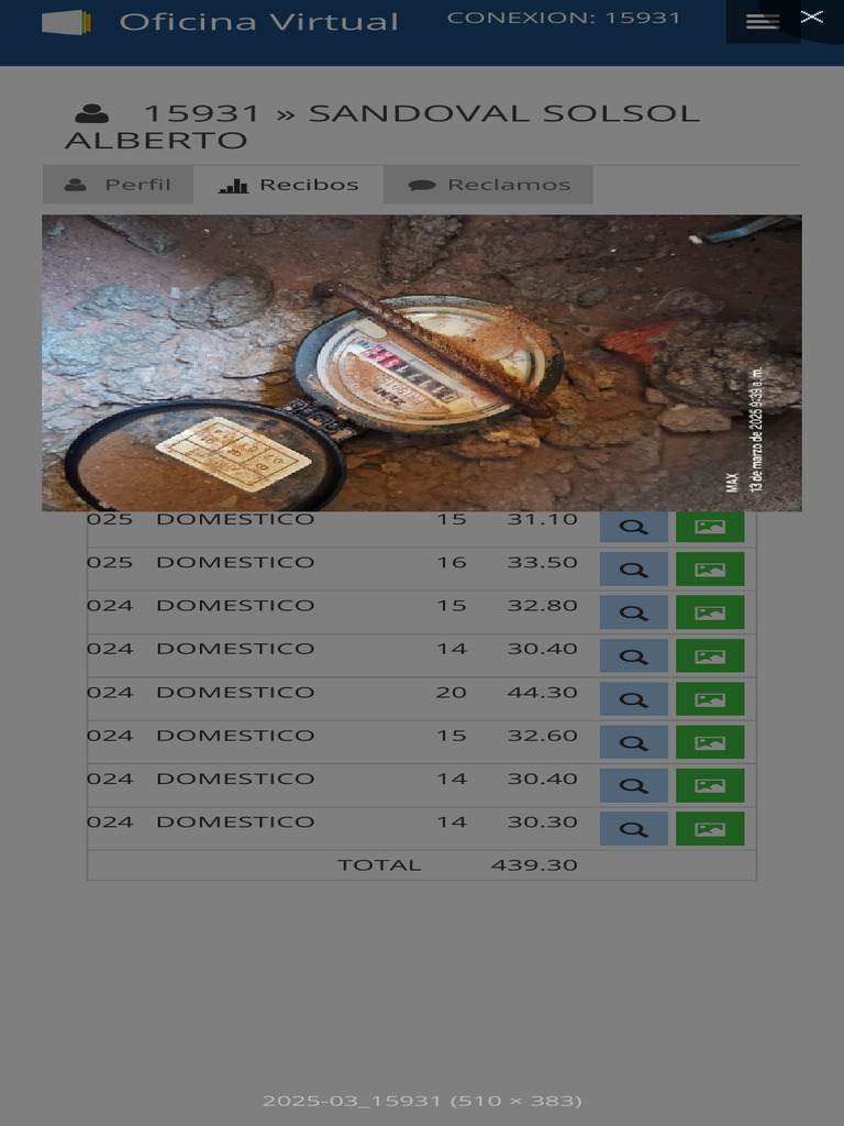 Emapa San Martin S.A | PDF