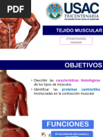 Estructura y función de los miocitos | PDF | Músculo | Biología Celular