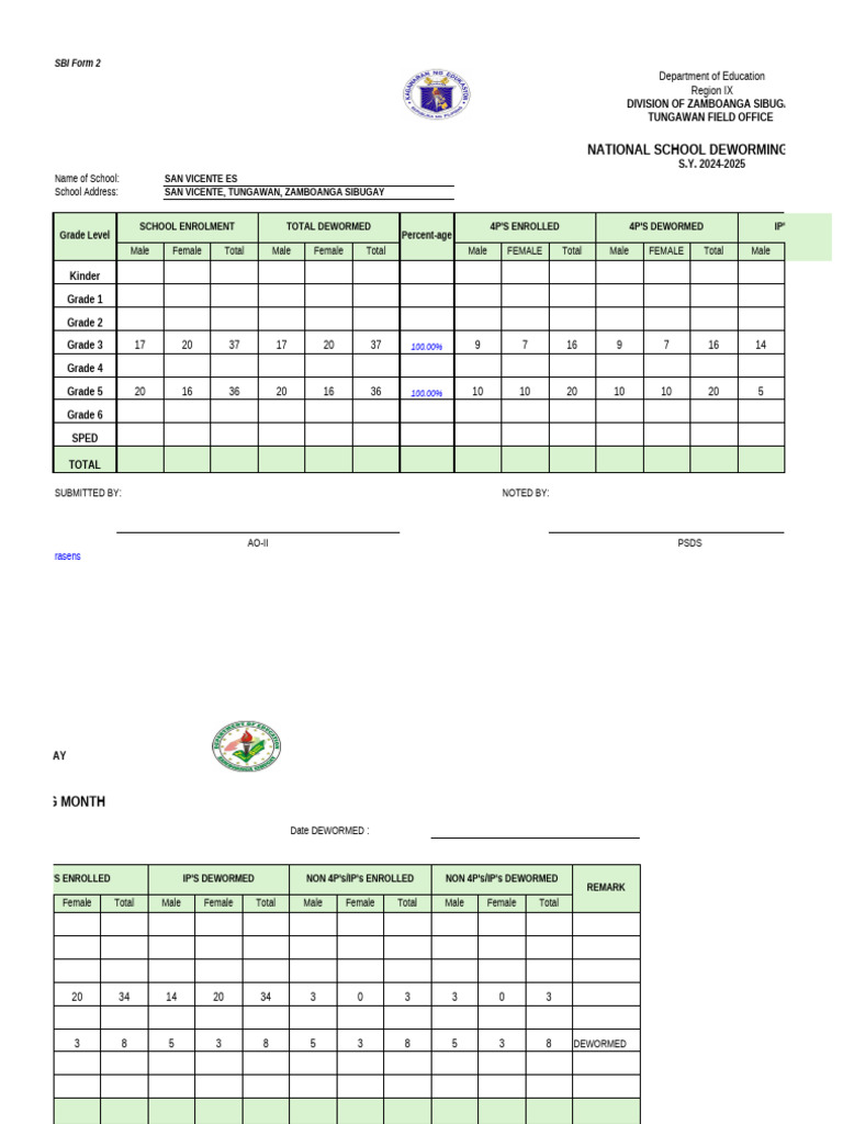 Deworming Elem. Consolidation 2025 San Vicente Es | PDF