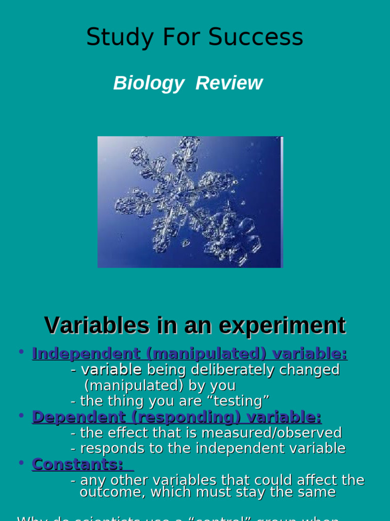 EOC 1st Semester Review 1 | PDF | Cell (Biology) | Cell Membrane