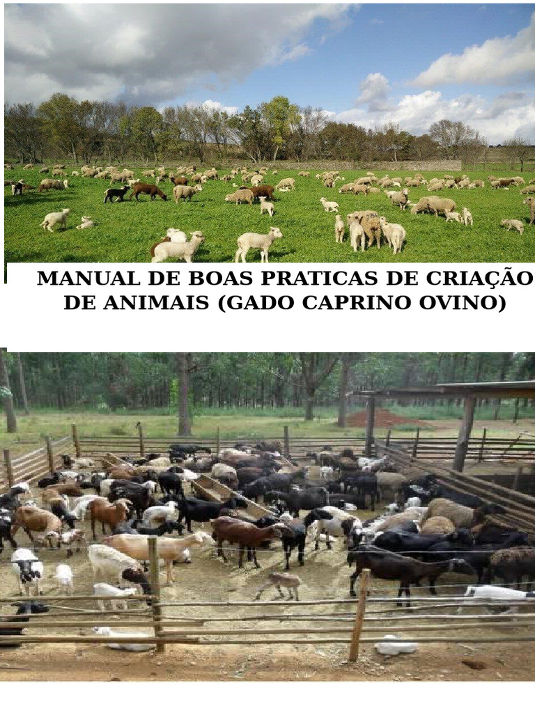 Boas Práticas na Criação de Caprinos e Ovinos | PDF | Bem-estar animal ...