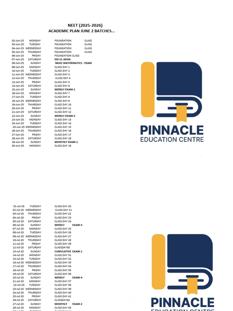 Academic Plan-Pinnacle 2025-2026 - 20250603 - 143001 - 0000 | PDF ...