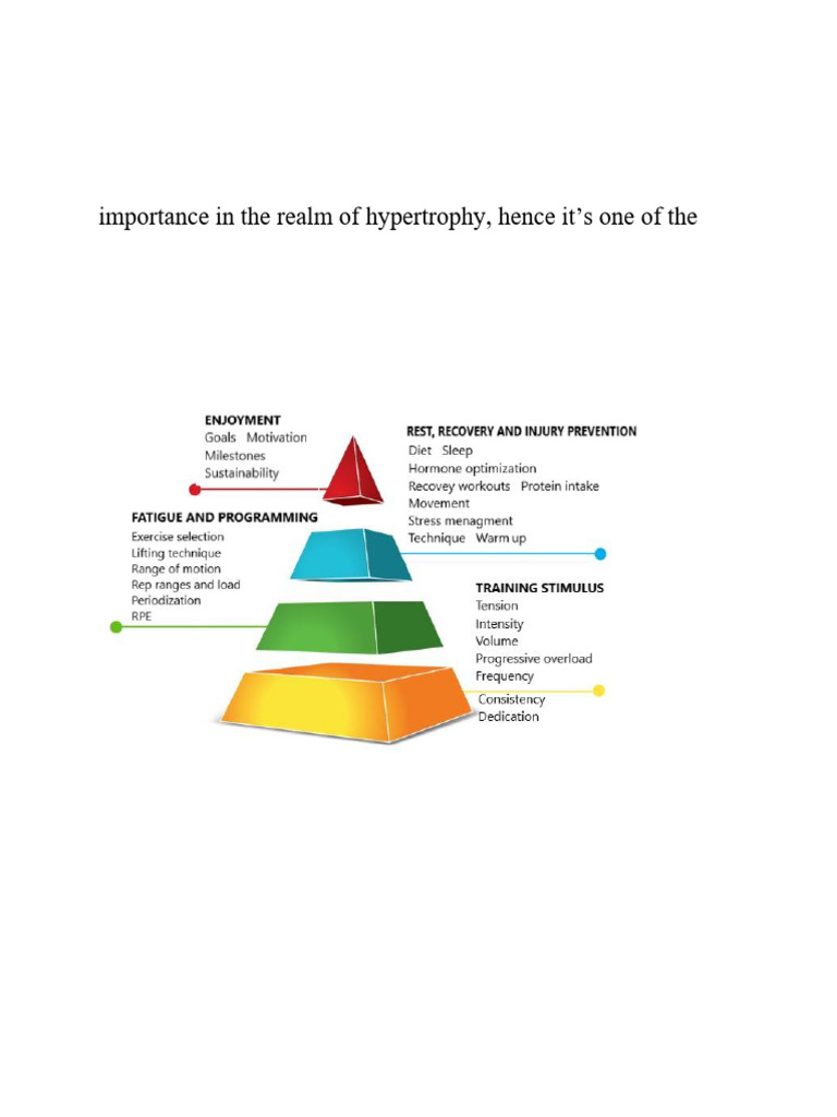Training Splits | PDF | Muscle Hypertrophy
