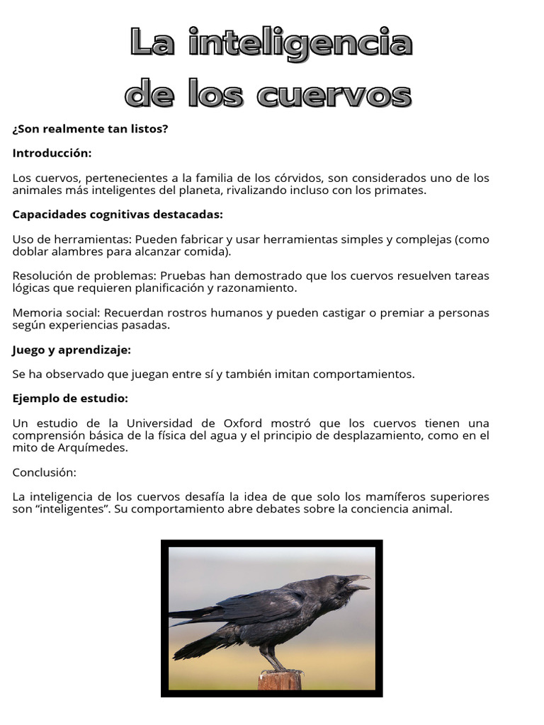 La inteligencia sorprendente de los cuervos | PDF