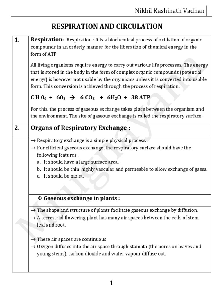 Human Respiration and Circulation Overview | PDF | Respiratory Tract | Lung