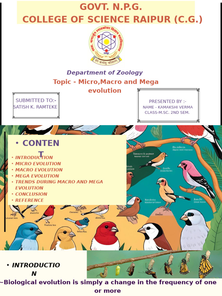 It's An MSC Level Presentation About Patterns of Evolution | PDF ...