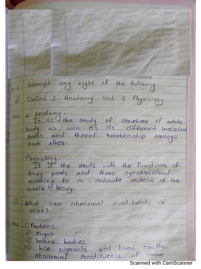 Hap Notes No 20 Hap 20 Pdf