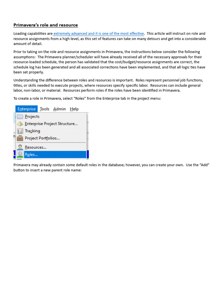 Primavera Role and Resource | PDF | Computing