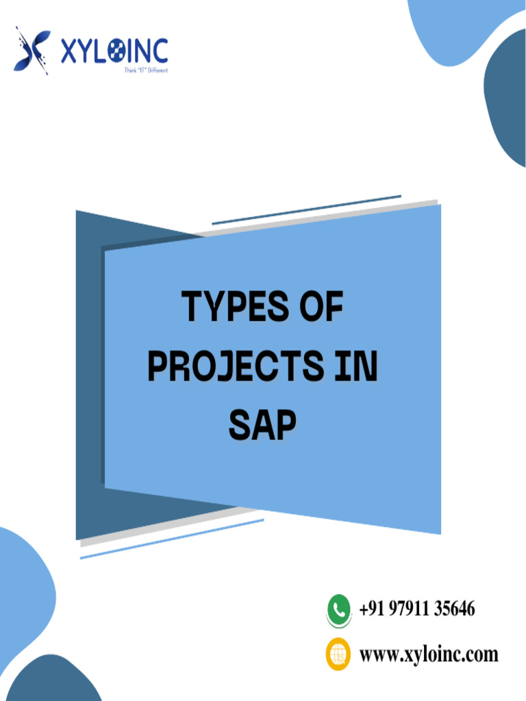 Types of SAP Projects Explained | PDF