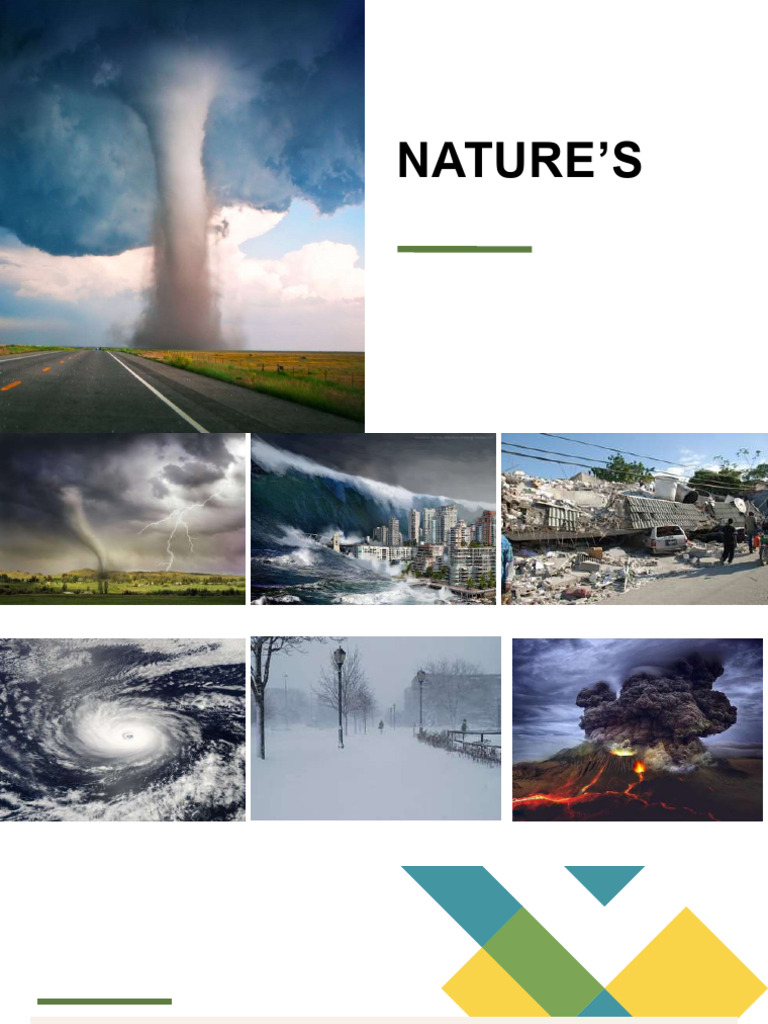 Understanding Natural Disasters | PDF | Fires | Wildfire