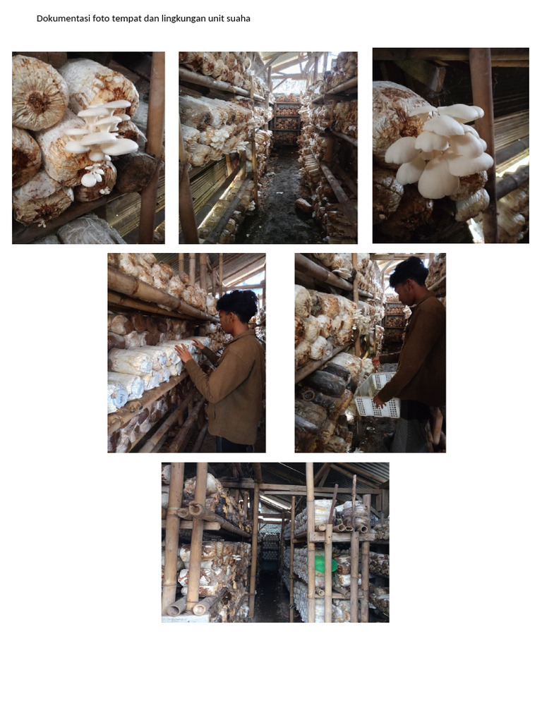 Dokumentasi Foto Tempat Dan Lingkungan Unit Suaha | PDF