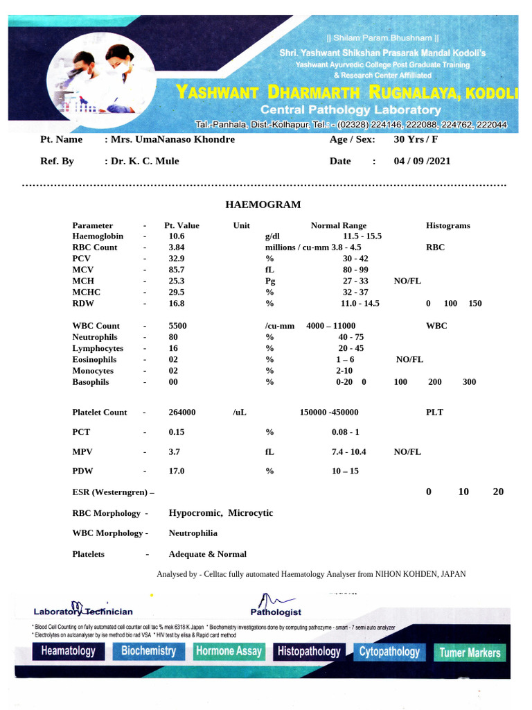 PT Reports | PDF | White Blood Cell | Cells