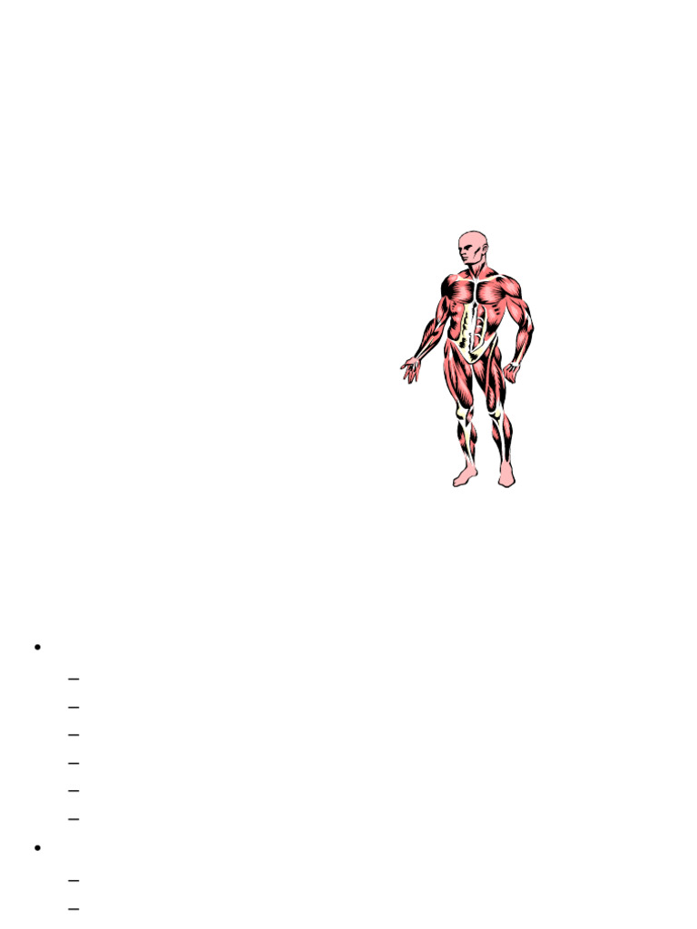 Understanding Musculoskeletal Disorders | PDF