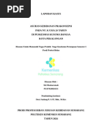Contoh SOAP Askeb Pranikah Dan Prakonsepsi | PDF