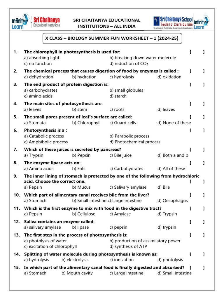 Grade X Biology Summer Homework | PDF | Circulatory System | Heart