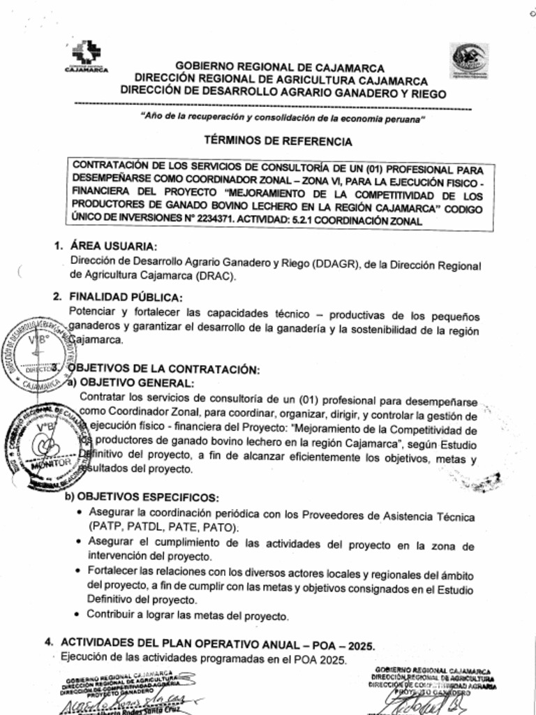 Tdrs Coordinador San Marcos | PDF