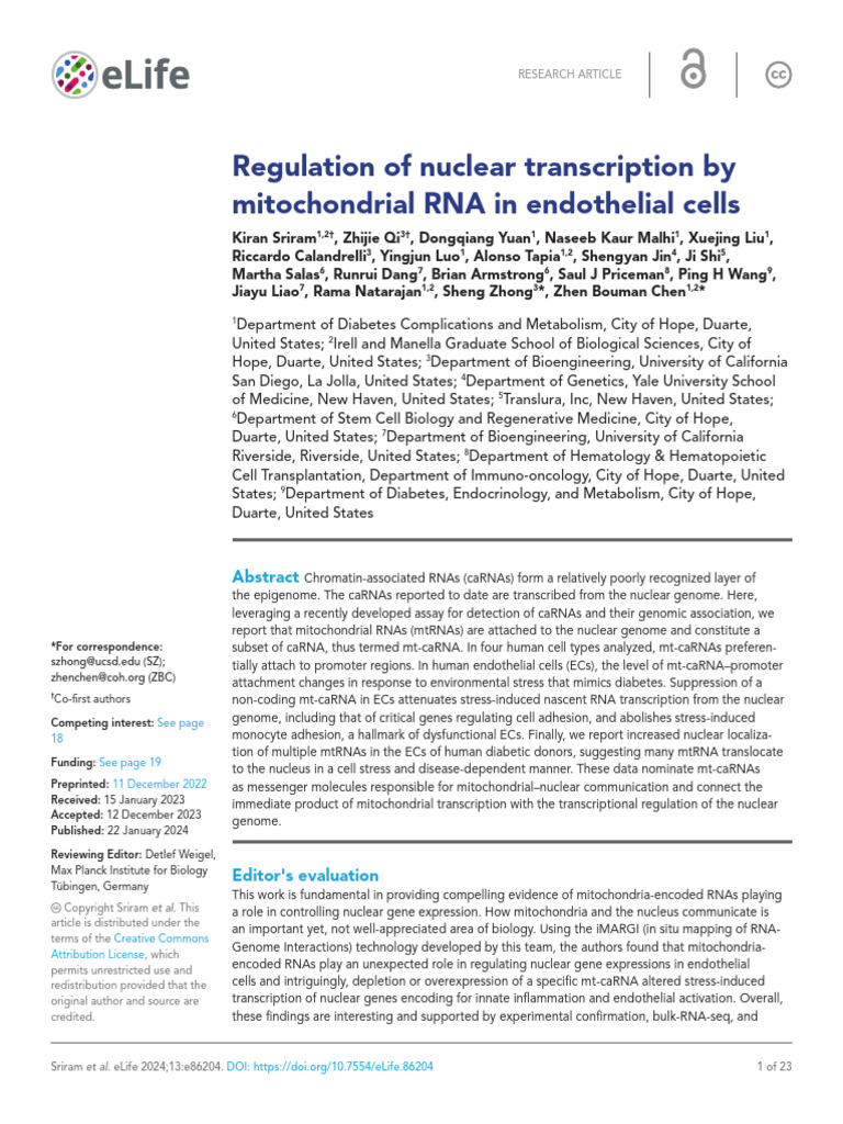 Mitochondrial Rna | PDF | Mitochondrial Dna | Mitochondrion