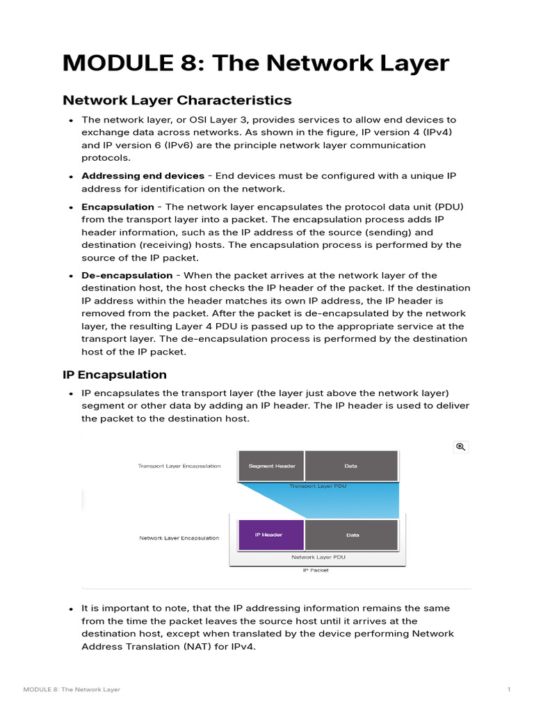 MODULE 8 The Network Layer | PDF | Internet Protocols | I Pv6