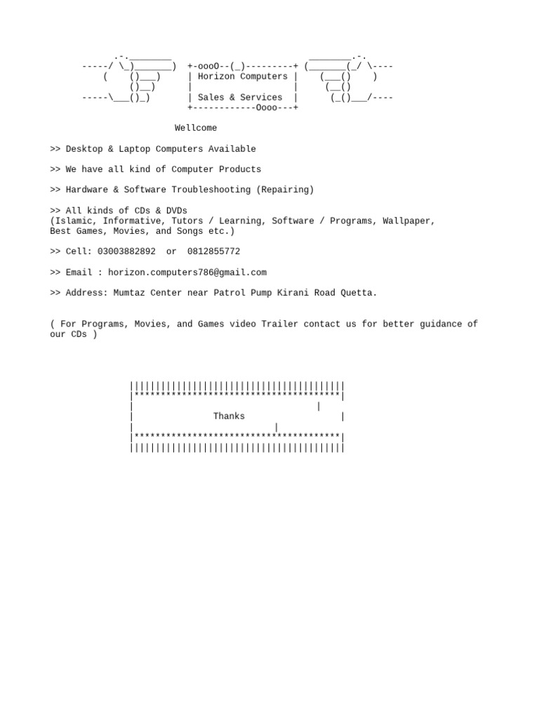 Horizon Computers | PDF