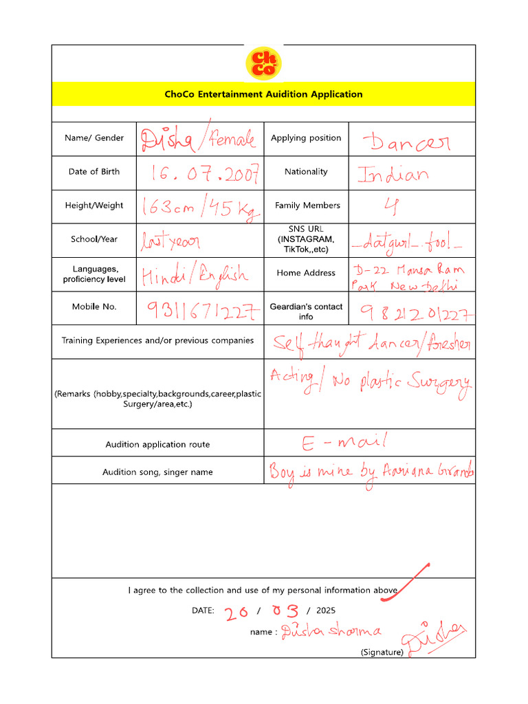ChoCo Entertainment Audition Application | PDF
