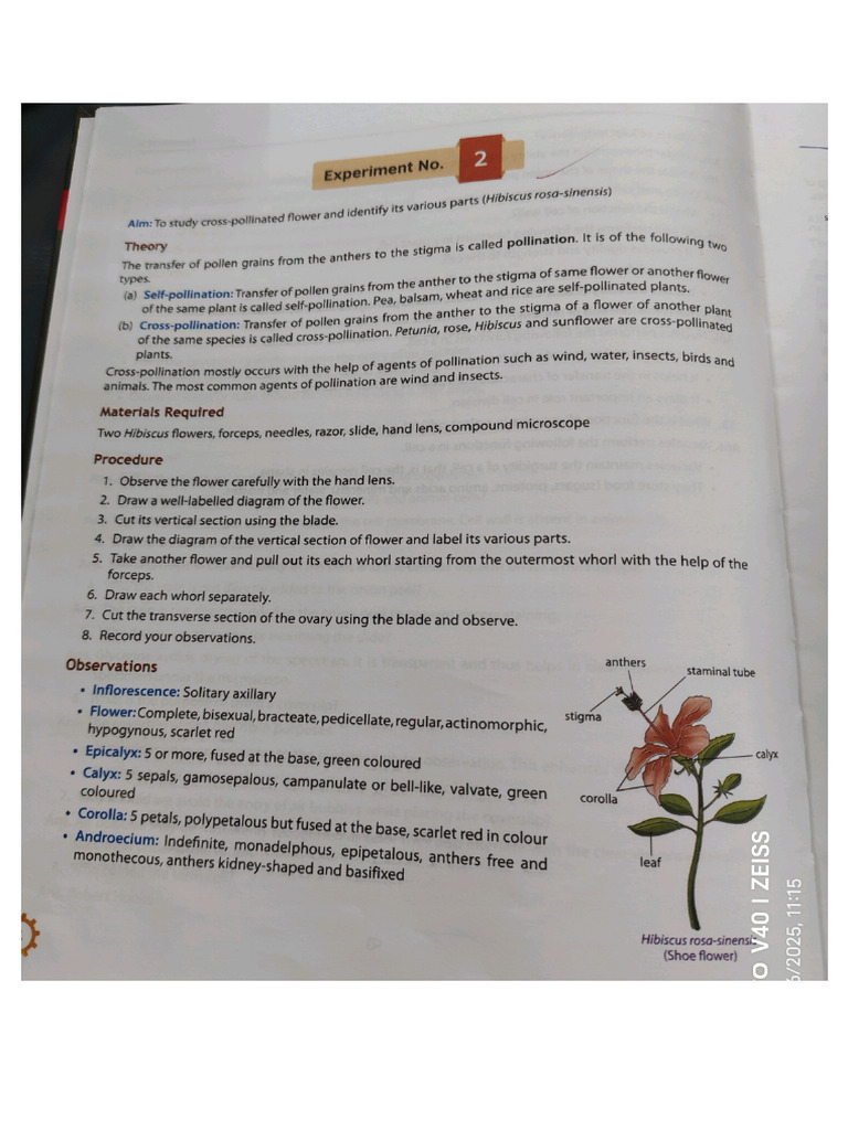Class 9 Bio Experiment 2 | PDF