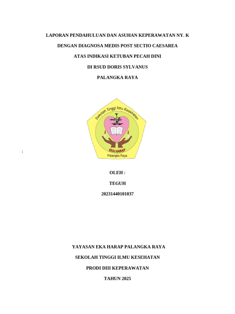 Lp Maternitas Ny k Teguh r.cempaka (Autorecovered) | PDF