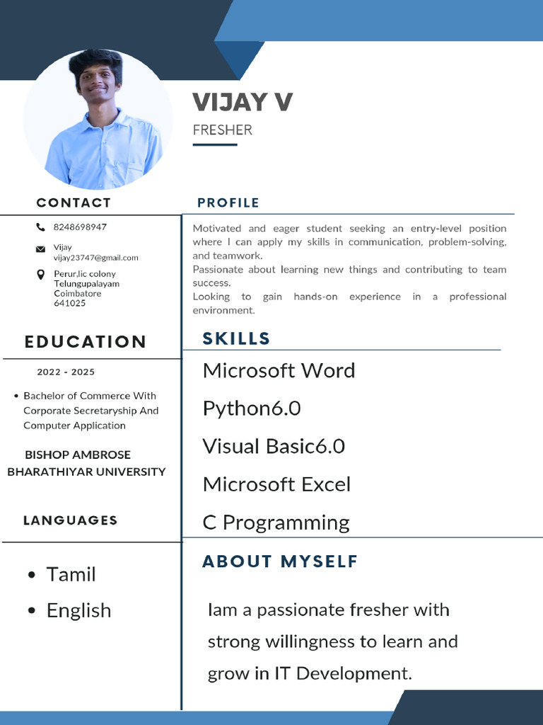 Resume Vijay V | PDF