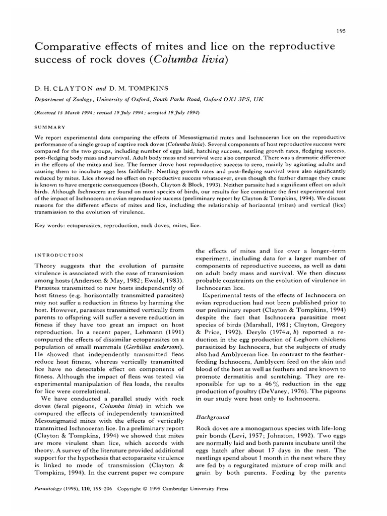 Mites vs. Lice: Impact on Rock Dove Reproduction | PDF | Birds | Parasitism