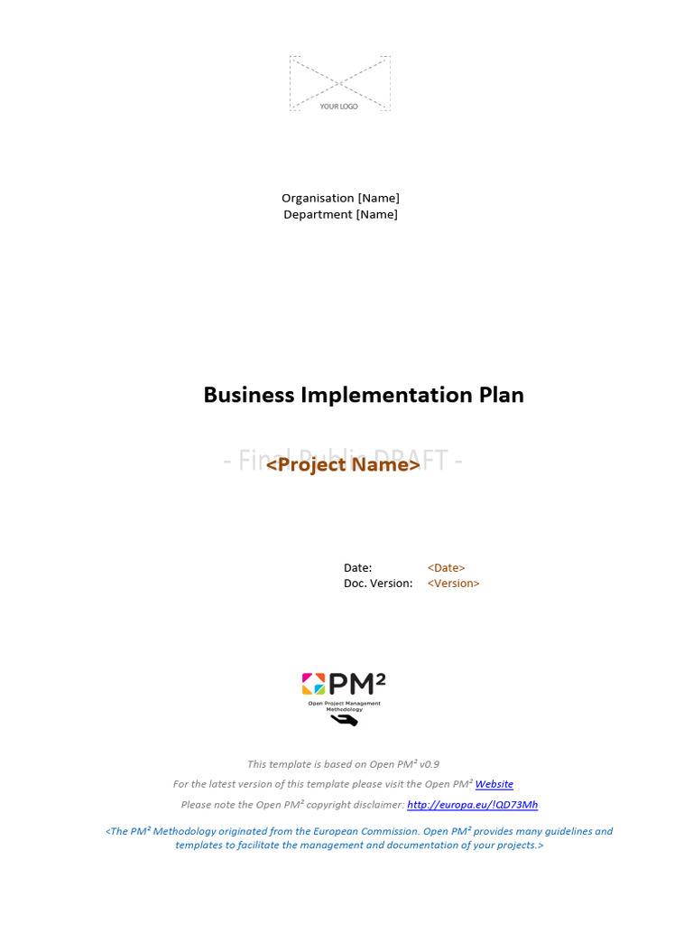Business Implementation Plan | PDF