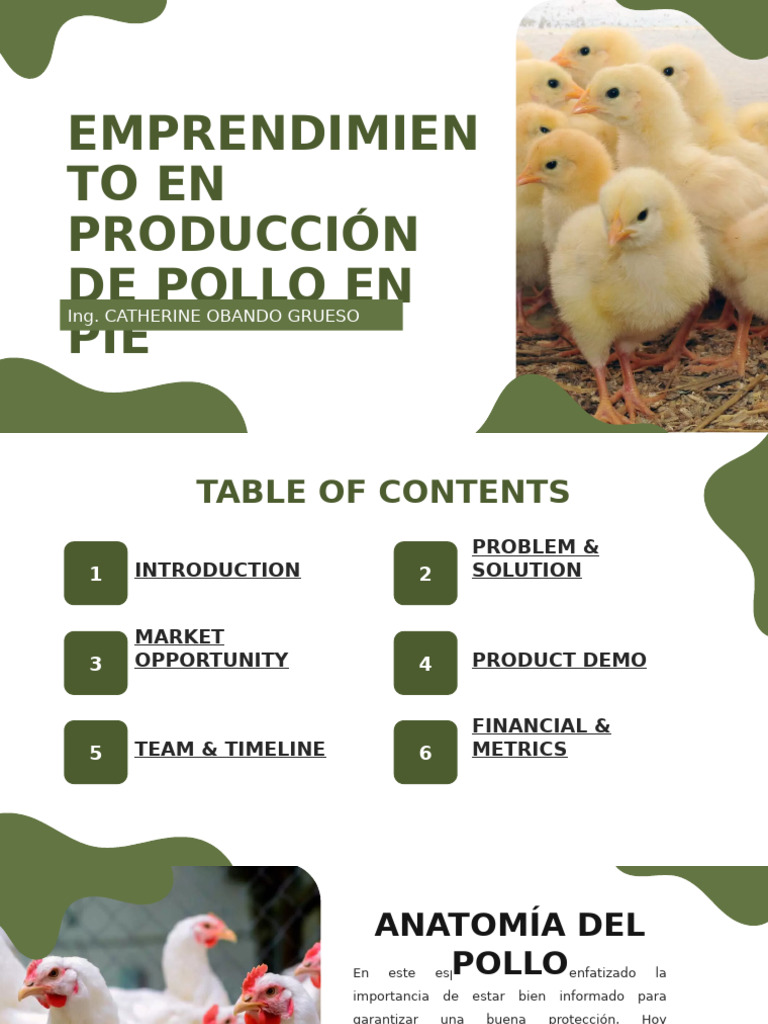 Anatomía del Pollito en Avicultura | PDF | Tracto gastrointestinal ...