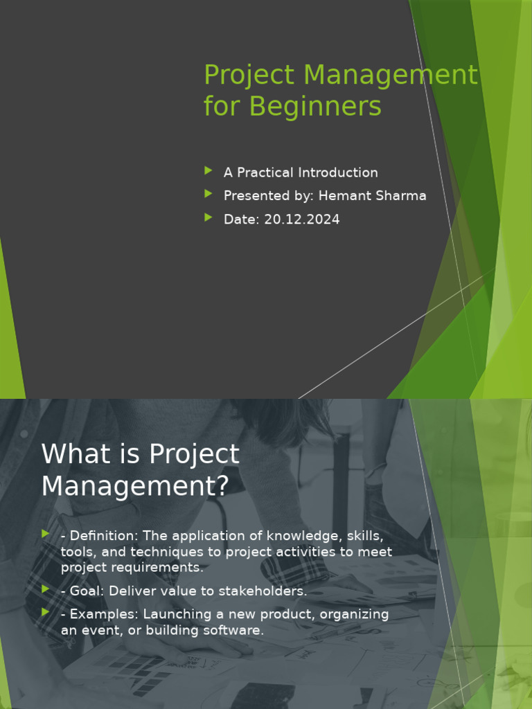 Project Management Basics for Beginners | PDF
