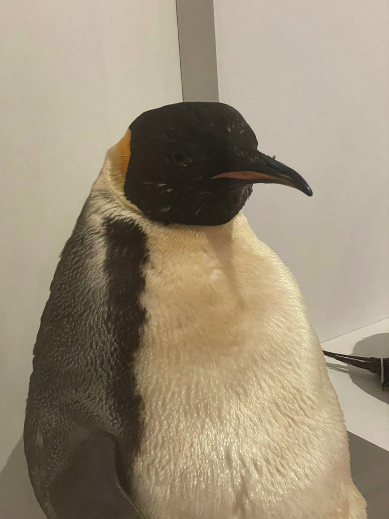 Final Refrence t2 2025 | PDF