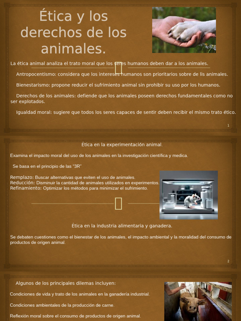Derechos de Los Animales | PDF | Sustentabilidad | Entorno natural