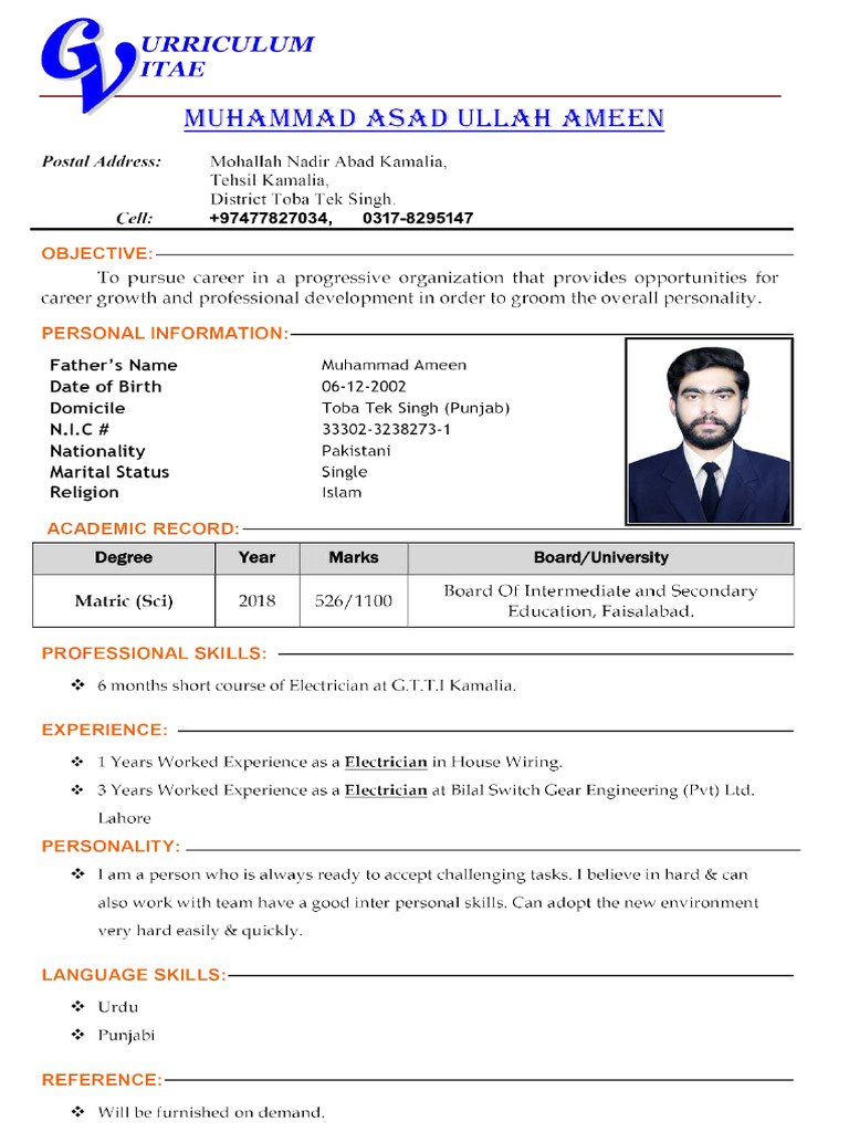 Muhammad Asad Ullah Ameen CV - Compressed | PDF