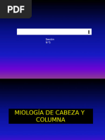 Anatomía de los Músculos Paravertebrales | PDF | Tejido suave ...